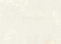 China Tide Resistance Moth Proofing Decorative Privacy Film Environmentally - Friendly for sale