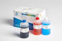China BRED-015 Sperm Morphology Staining Kit Diff Quik Rapid Staining Method for sale