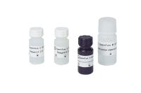 China Sperm DNA fragmentation test sperm chromatin structure assay SCSA for sale