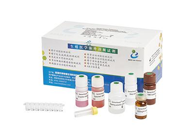 China 96T/ Elastase Assay Kit BRED-006 for sale