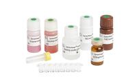 China 96T/ Elastase Assay Kit BRED-006 for sale