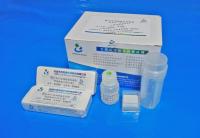 China 40T/Kit Pre Stained Slides One Step Violet Staining For Sperm / Blood Cell Morphology for sale