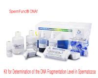 China Professional Sperm DNA Fragmentation Test Kit 40T/Kit BRED-002 Easy Operate for sale