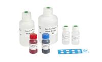 China Kit For Human Spermatozoan Nucleoprotein maturity test for sale