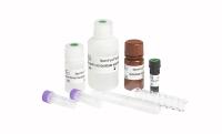 China SpermFunc Kits / Solid Phase BAPNA Method For Spermatozoa Acrosin Activity Quantitative Test for sale