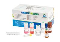 China 96T/Kit Elastase Assay Kit For Determination Male Infertility Diagnosis for sale