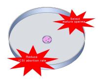 China Hyaluronic Acid Sperm Selection Dish For ICSI IVF Reduce Pregnancy Loss Rate for sale