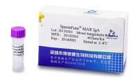 China BRED-011 Male Fertility Test Kit for Determination Spermatozoa Male Infertility Diagnosis for sale