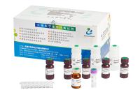 China Rapid Test Male Fertility Test Kit For Evaluating Male Epididymis Secretory Function for sale