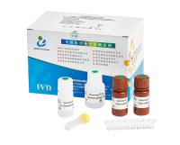 China Batch Testing Men'S Fertility Test Kit For Determination Seminal Plasma Zinc Levels for sale