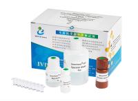 China Easy Use Male Fertility Test Kit / Male Infertility Diagnosis Kit For Seminal Plasma for sale