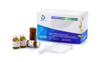 China Rapid Diagnosis Male Fertility Test Kit For Determination Semen LDH-X / LDH-C4 Level for sale