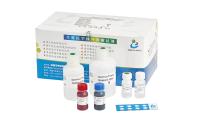 China 40T/Kit Male Infertility Test Kit For Detection Human Spermatozoan Nucleoprotein Maturity for sale