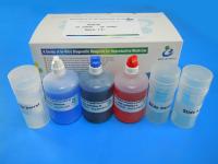 China Simple Use Diff Quik Stain Kit For Spermatozoa Morphology 100ml/Kit for sale