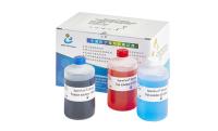 China Simple Use Diff Quik Stain Kit For Spermatozoa Morphology 100ml/Kit for sale
