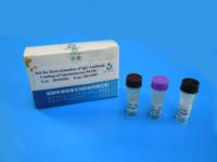 China SpermFunc Male Fertility Test Kit For Determination IgG Antibody Coating Spermatozoa for sale