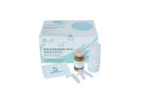 China Adult Males ROS Assay Kit Sperm Reactive Oxygen Species Assay Kit NBT Method for sale