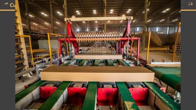 China 100-1200 TPD Automatic Clay Brick Production Line for Hollow Blocks from BBT for sale