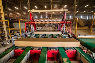 China 100 tons/day to 1200 tons/day Synchronous Down-press Cutting Machine For Clay Hollow Blocks And Solid Bricks Cutting for sale