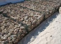 China Hexagonal Cage Gabion Wire Mesh 2m Width Stainless Steel Gabion Baskets for sale