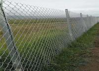 China Zinc Coated Cyclone Mesh Fencing 60*60mm Pvc Coated Diamond Mesh for sale