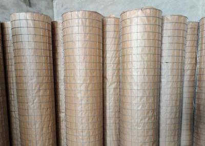 China 6X6cm 304 Galvanized Welded Wire Mesh Fence For Animal Enclosure for sale