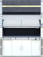 China Acid Resistant Material Chemical Laboratory Fume Cupboard CE Certified for sale