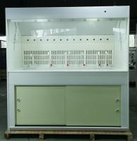 China Conventional Laboratory Equipment Chemical PP Fume Hood for sale