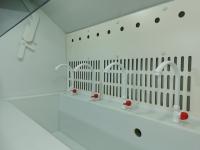 China Conventional Laboratory Equipment Chemical PP Fume Hood for sale