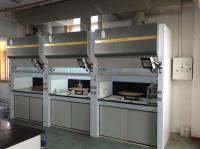 China Strong Acid and Alkali Resistance Polypropylene Corrosion Resistance Laboratory Chemical Fume Hood with CE Certified for sale