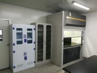 China Strong Acid and Alkali Resistance Polypropylene Corrosion Resistance Laboratory Chemical Fume Hood with CE Certified for sale
