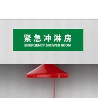 China Stainless Steel Eyewash Station Emergency Safety Shower Room For Hospital for sale