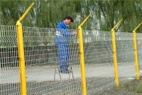 China 50x200mm 3D Wire Mesh Fence PVC Coated Wire Mesh Fencing Yellow for sale