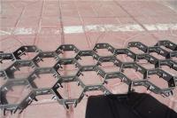China Lance Tabs Hex Mesh 310S Stainless Steel Hexagonal Hole 50mm 15mm Thickness 1mX1m for sale
