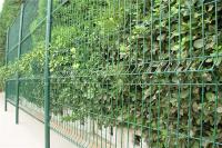 China 2m Tall 50x200mm Galvanized PVC Coated Welded Wire Mesh Fence for sale