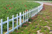 China 60X60mm Metal Tubular Fencing Aluminium Steel Ornamental Loop Top for sale