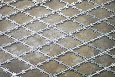 China Welded Razor Barbed Wire Fence With 25-35mm Barbs And 75X150mm Mesh for sale