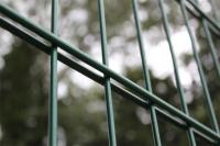 China Powder Coated Twin Wire  Fencing Use For Sports Fencing 8/6/8 for sale