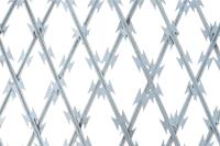 China High Security Galvanized Straight Line Razor Wire Fence  Panel for sale