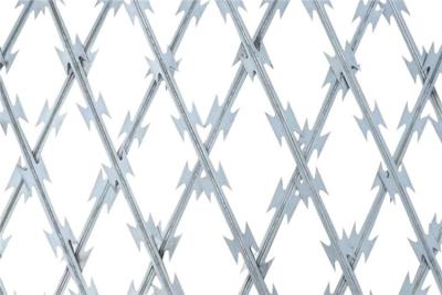 China High Security Galvanized Straight Line Razor Wire Fence  Panel for sale