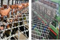 China High Security Galvanized Straight Line Razor Wire Fence  Panel for sale
