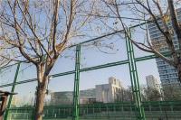 China Tennis Court Chain Link Fences 10 Ft High Vinyl Coated Black Or Green Fro Market for sale