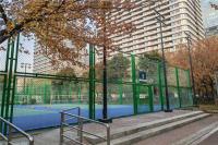 China High Security Galvanized Vinyl Coated Chain Link Fence For Stadium Fence for sale