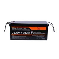 China 25.6V 100Ah Li Iron Phosphate Battery Continuous Energy Supply LiFePO4 Battery for sale