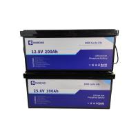 China Shock Resistant LFP Lifepo4 Battery With BMS Ultra Low Self Discharge Rate for sale