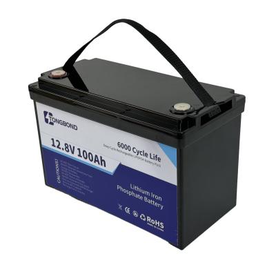 China Compact LiFePO4 Lithium Battery Pack 12V 100ah For Critical Applications for sale