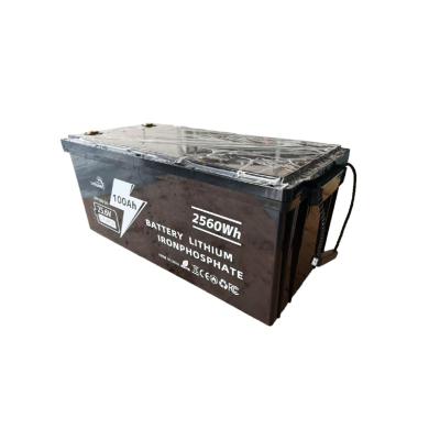 China 25.6V 100Ah Rechargeable 24V LiFePO4 Battery Pack Compact Long Lasting Performance for sale