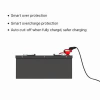 China Long Life 3 Wheeler EV Lithium Ion Car Battery OEM ODM for sale