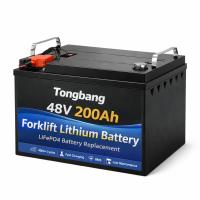 China 48V 200Ah Forklift Lithium Battery LiFePO4 Battery Replacement for Electric Forklift for sale