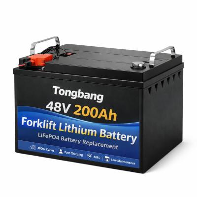 China 48V 200Ah Forklift Lithium Battery LiFePO4 Battery Replacement for Electric Forklift for sale